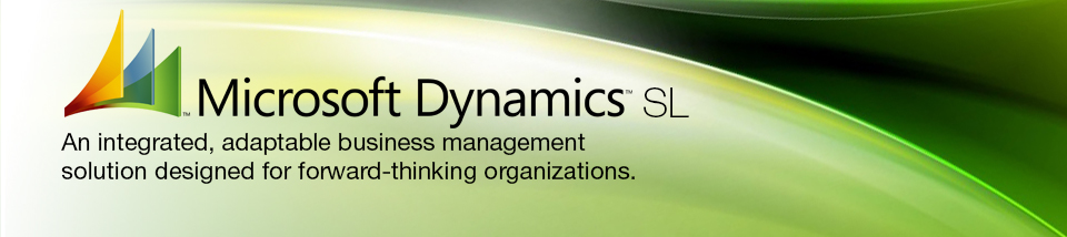 Microsoft Dynamics SL - NetSuite Optimization in DFW